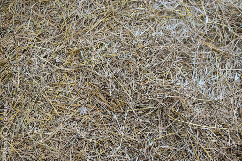 straw texture background Stock Photo | Adobe Stock