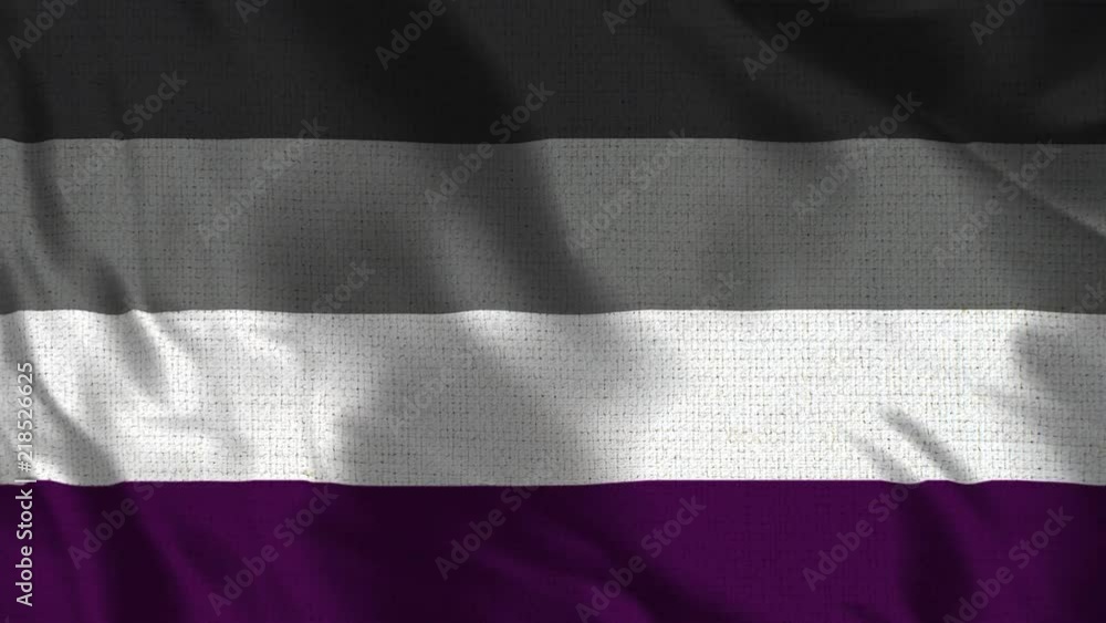 Asexual Flag Loop - Realistic 4K - 60 fps flag waving in the wind. Seamless loop with highly ...