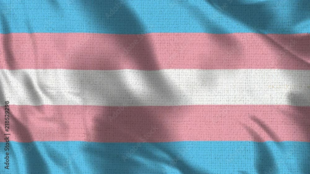 Transexual Flag - Realistic 4K - 60 fps flag waving in the wind ...
