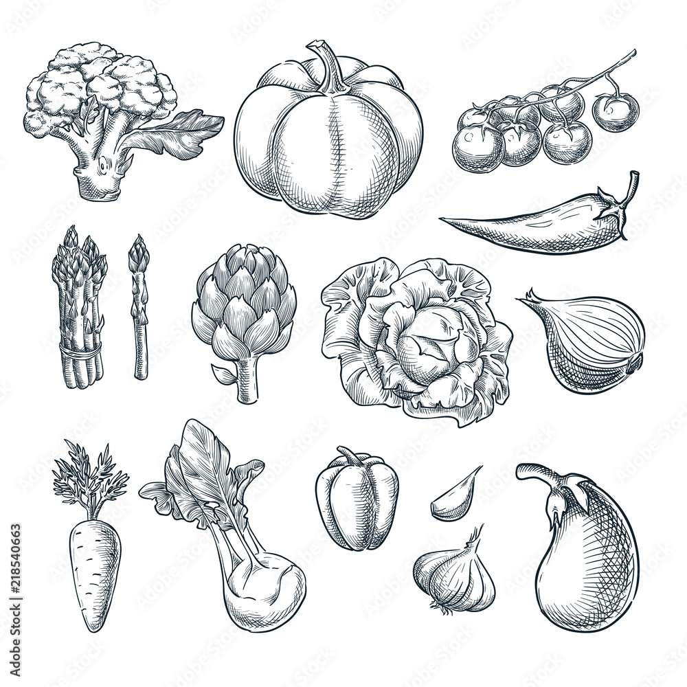 Vecteur Stock Farm fresh vegetables set. Vector sketch illustration ...