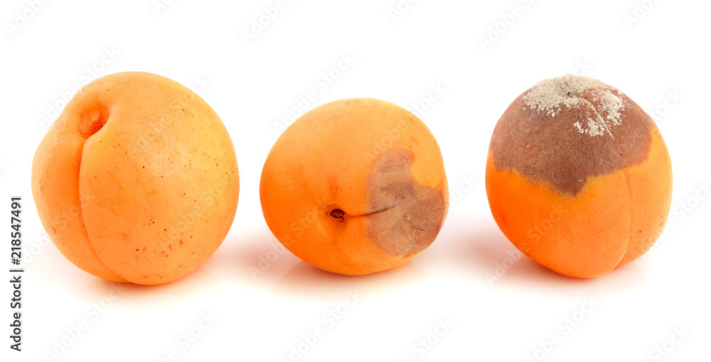 rotten and good apricot isolated on white background closeup Stock ...