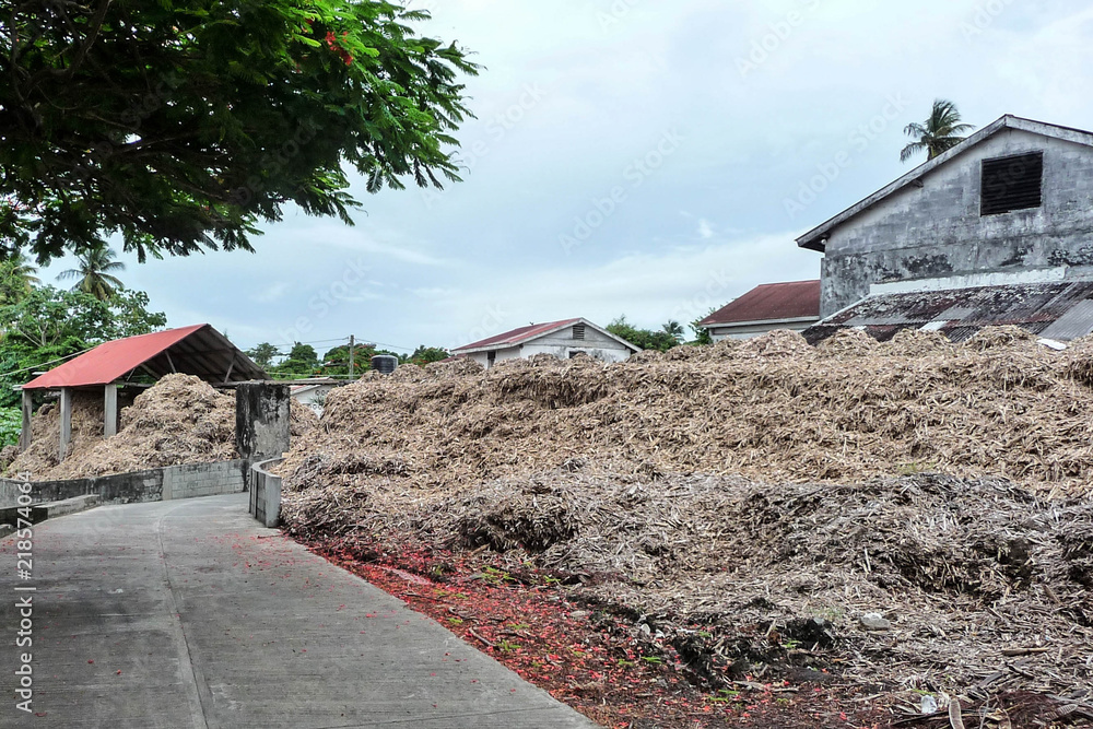 Piles of sugar cane bagasse (bagazo de caña) Stock Photo | Adobe Stock