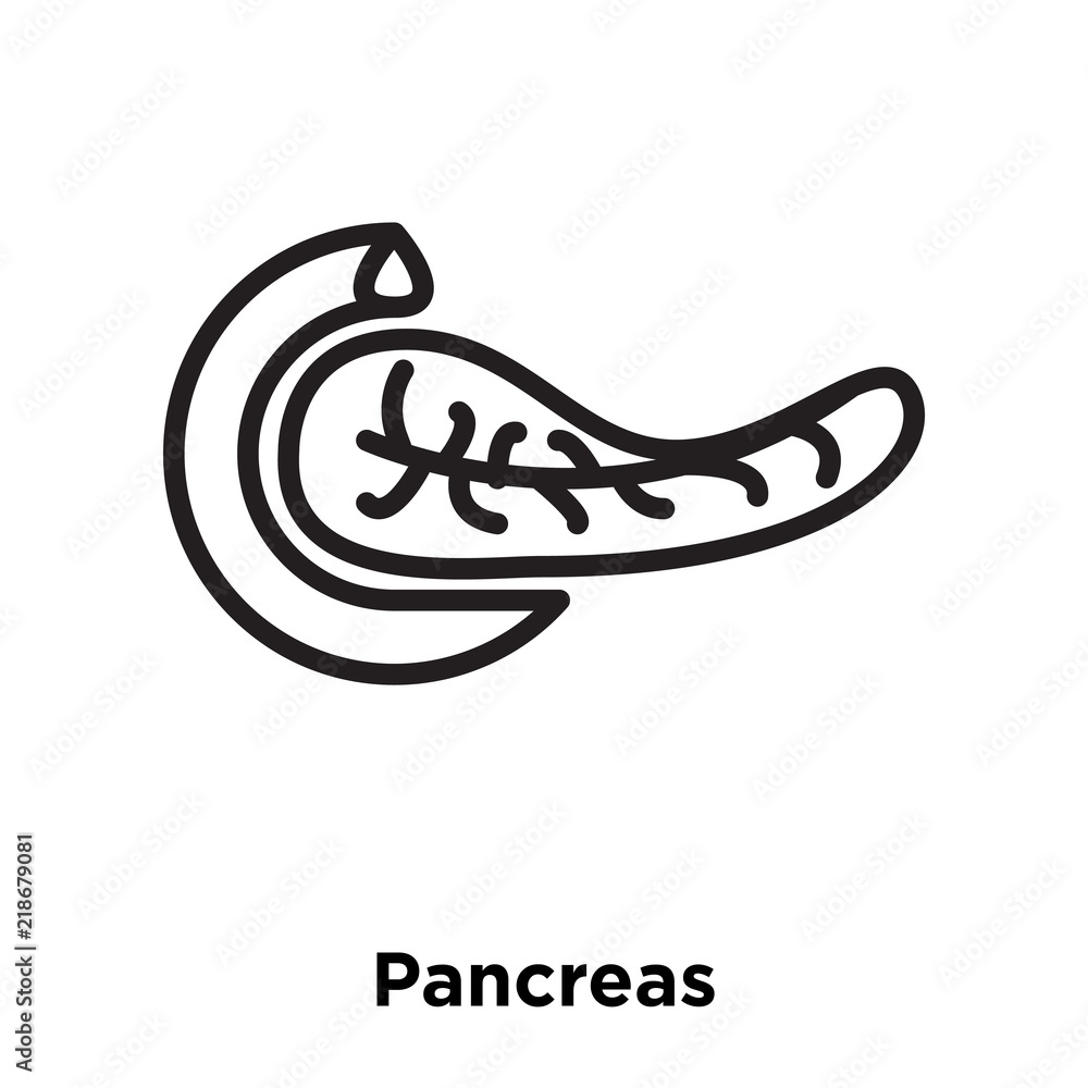 pancreas icons isolated on white background. Modern and editable ...