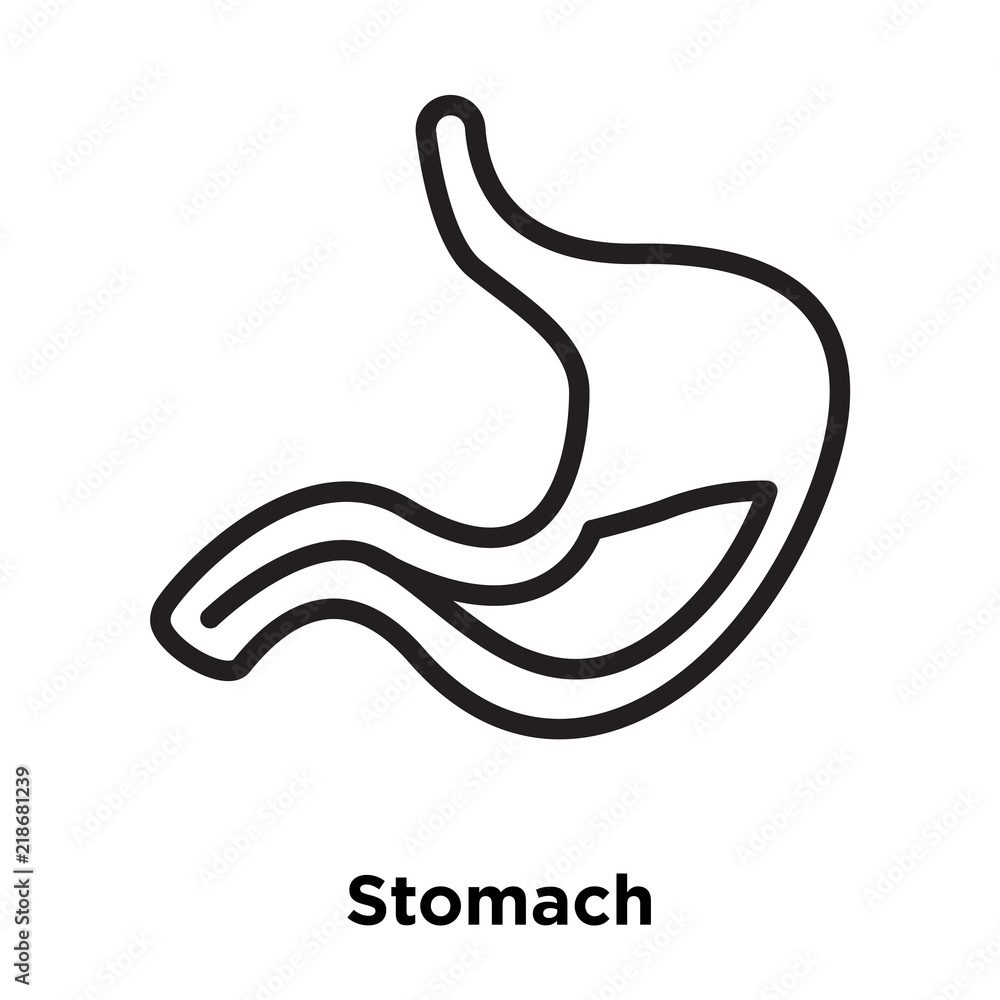 stomach icons isolated on white background. Modern and editable stomach ...