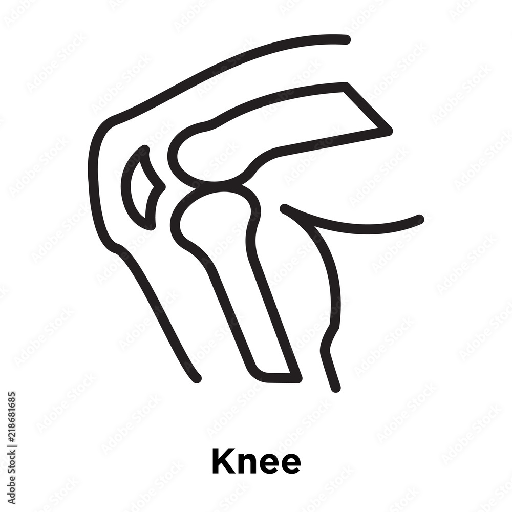 knee icons isolated on white background. Modern and editable knee icon ...