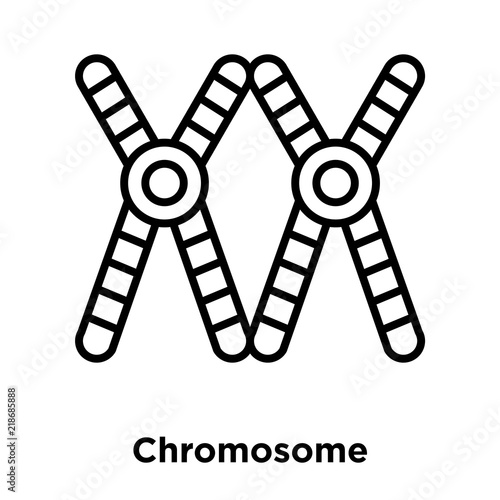 Chromosomes Black And White