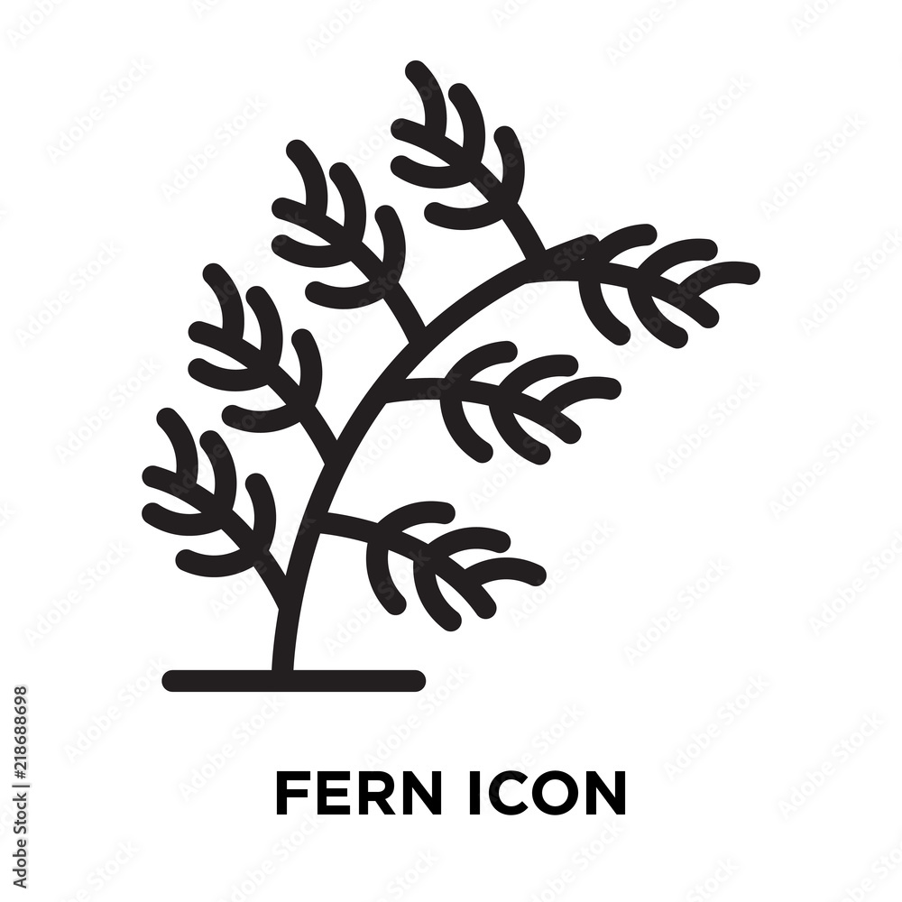 Fern icon vector isolated on white background, Fern sign , line symbol ...