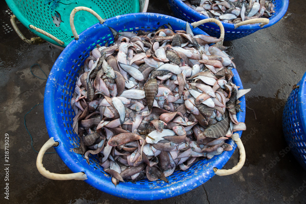Sole fish for sale at Neendakara fishing harbour,Kollam, Kerala, India ...