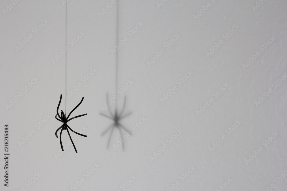 Halloween background concept. Black spider shadow and silhouette ...