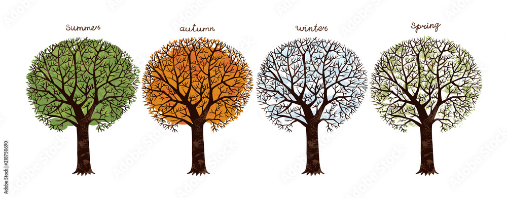 For seasons/Figure four trees. They illustrate the seasons. Summer ...