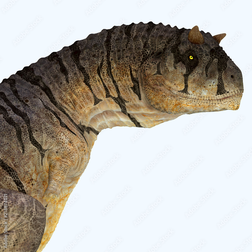 Carnotaurus sastrei Dinosaur Head - Carnotaurus was a carnivorous ...