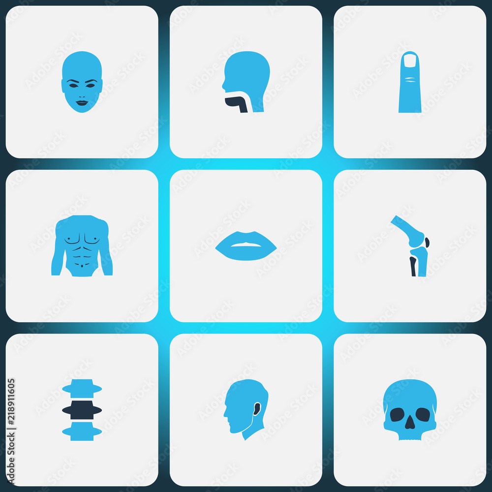 Body icons colored set with spine, joint, lips and other athletic ...