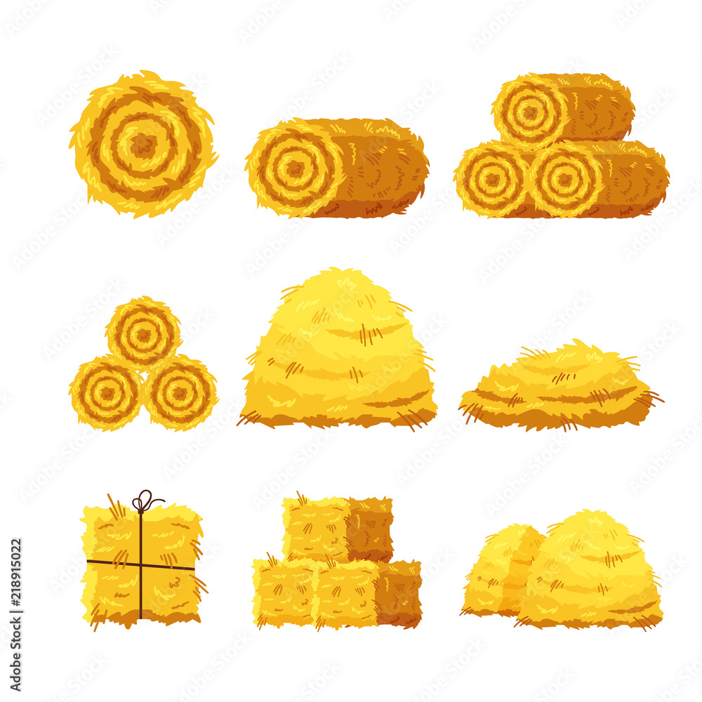 Set different bale of hay isolated on white background. Flat dried ...