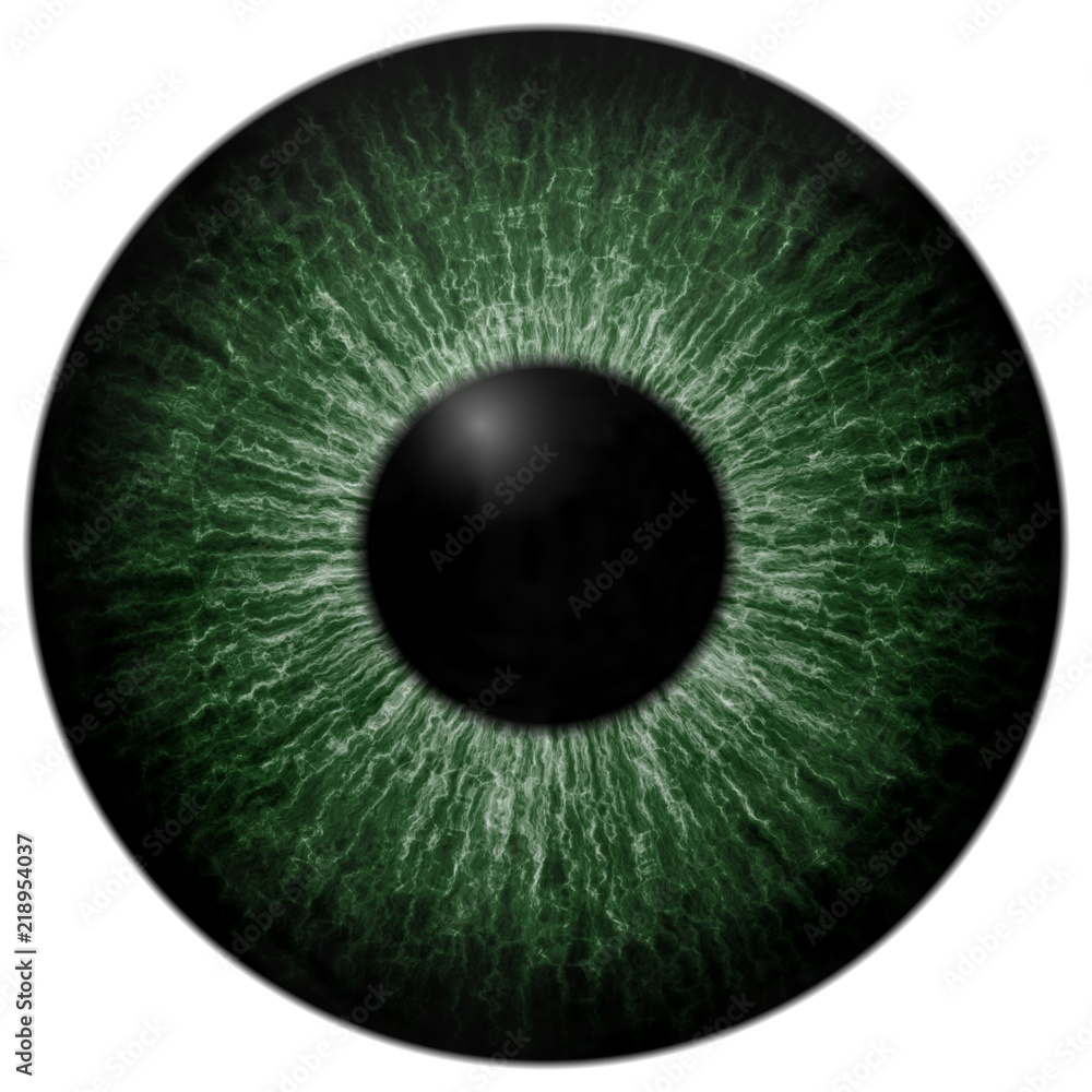 Green Eye Texture