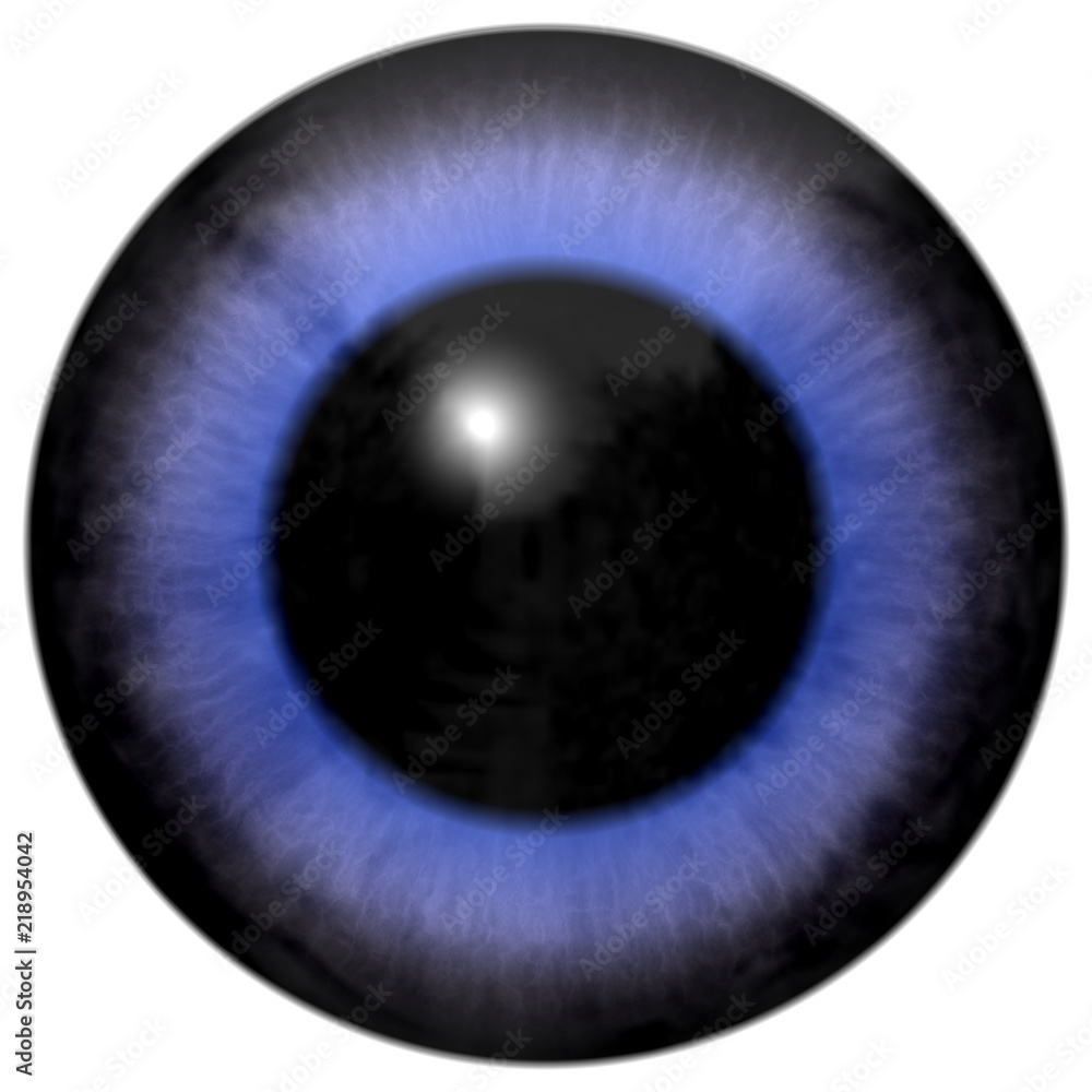 Blue eye texture isolated white background, human eyeball Stock ...