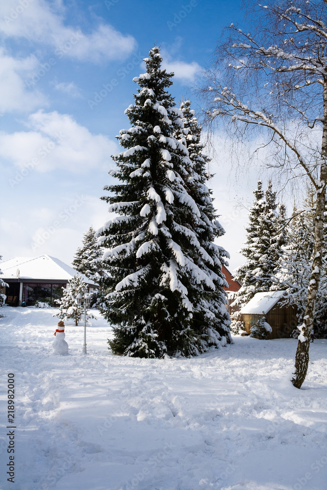 Tannenbaum Schnee