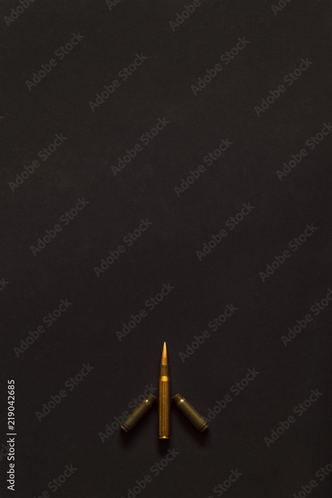 The cartridge and bullets to the rifle lie in the form of runes. Dark ...