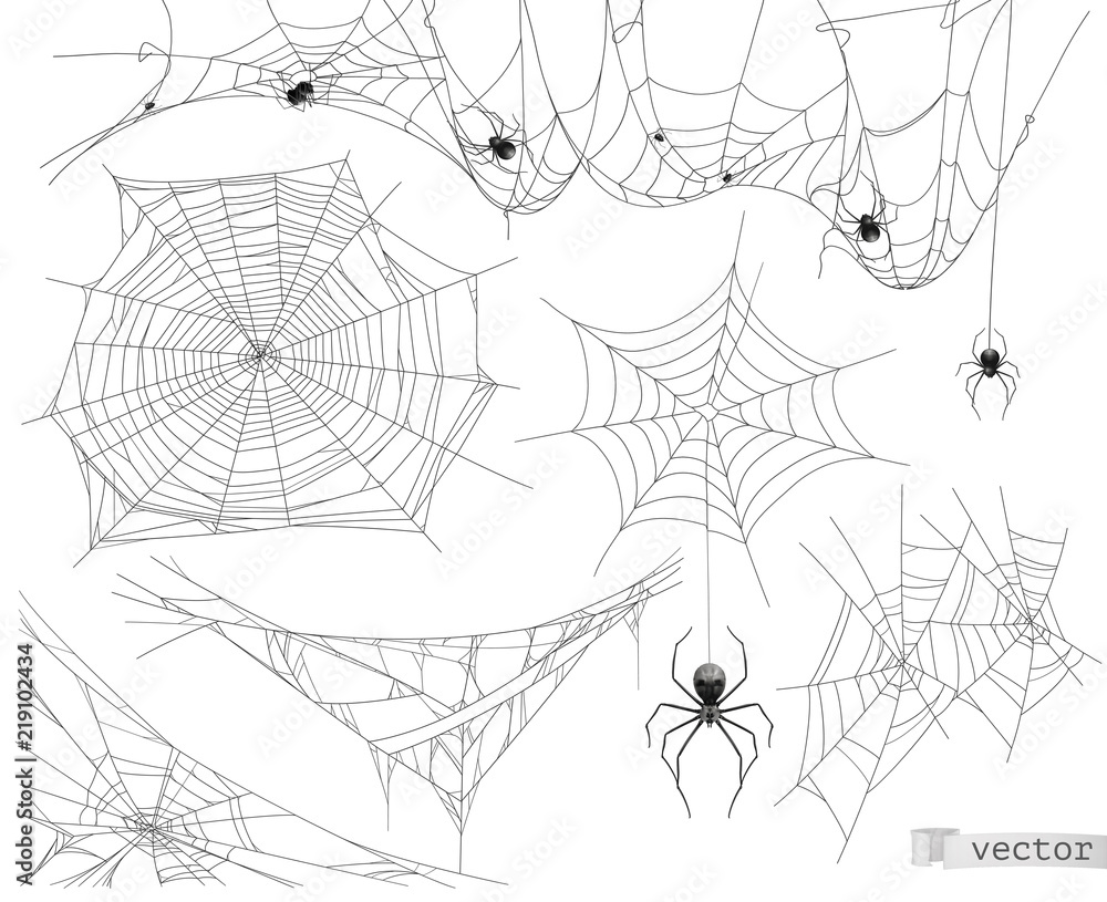 Spider web, vector set of elements Stock Vector | Adobe Stock