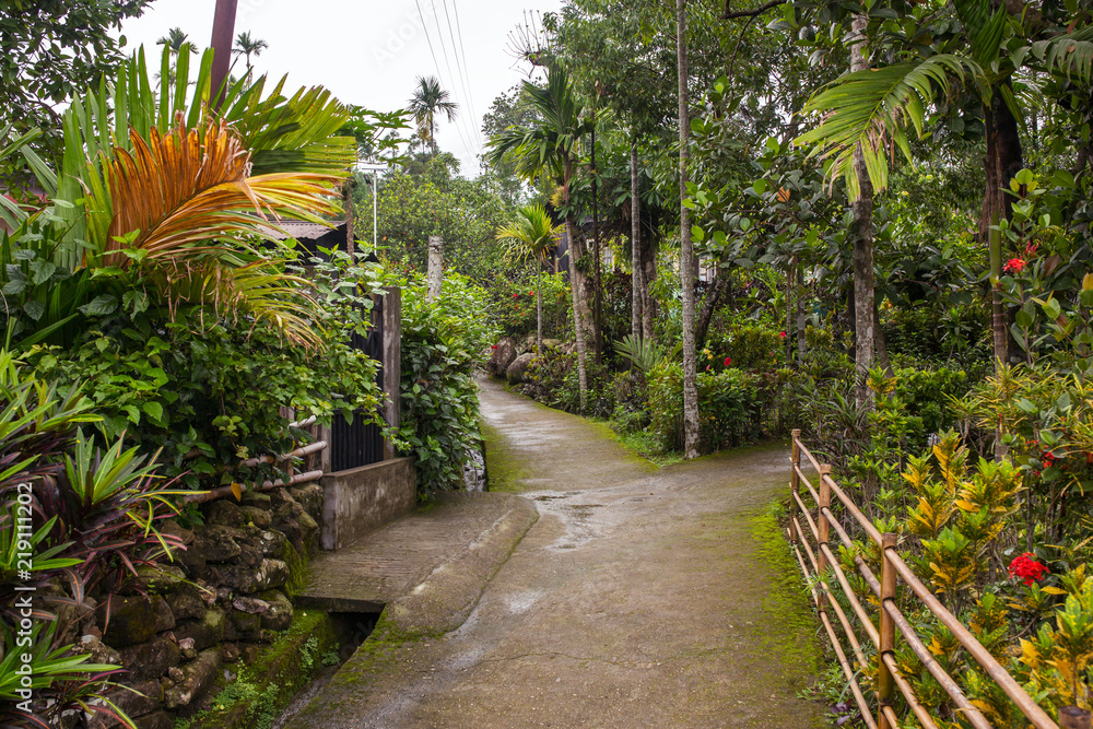 Clean pathway in Mawlynnong village, Meghalaya, North East India. It ...