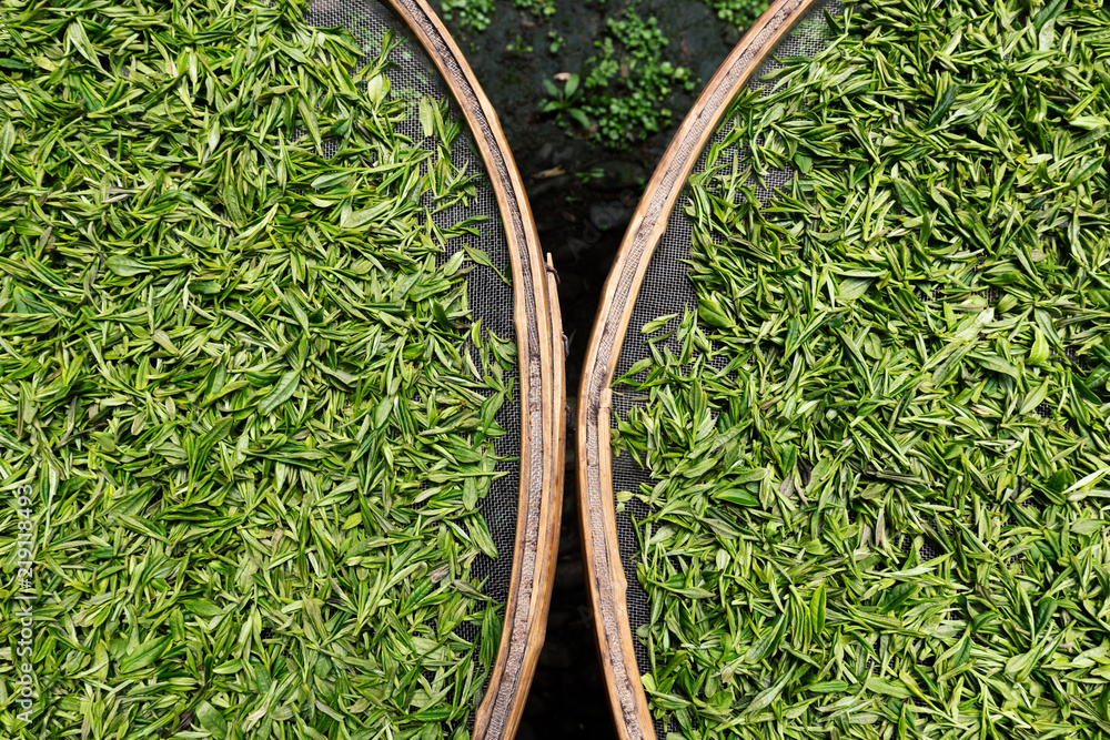 tea leaves spread curing in bamboo basket Stock Photo | Adobe Stock