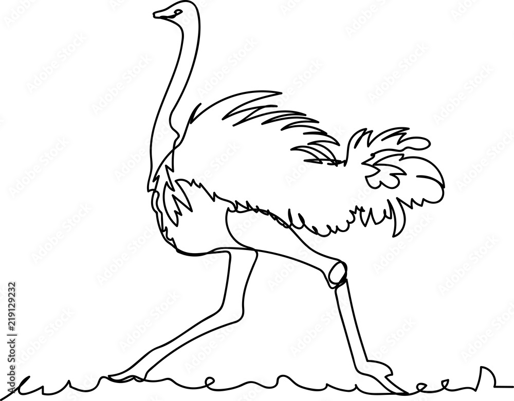 ostrich. Doodle. continuous sketch. one line Stock Vector | Adobe Stock