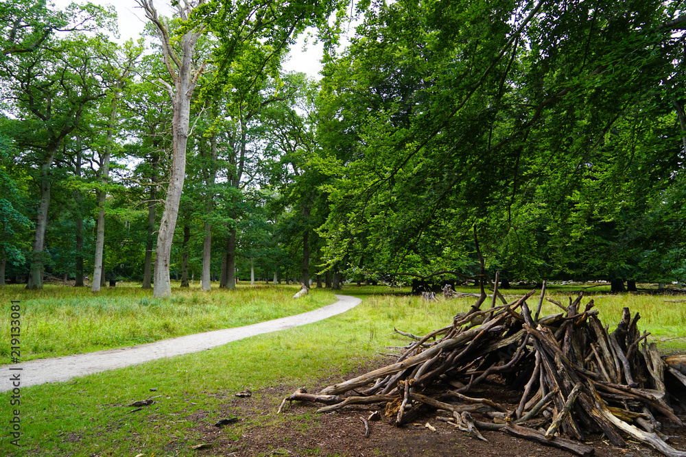 Foto de Dyrehaven is a forest park north of Copenhagen. It covers ...