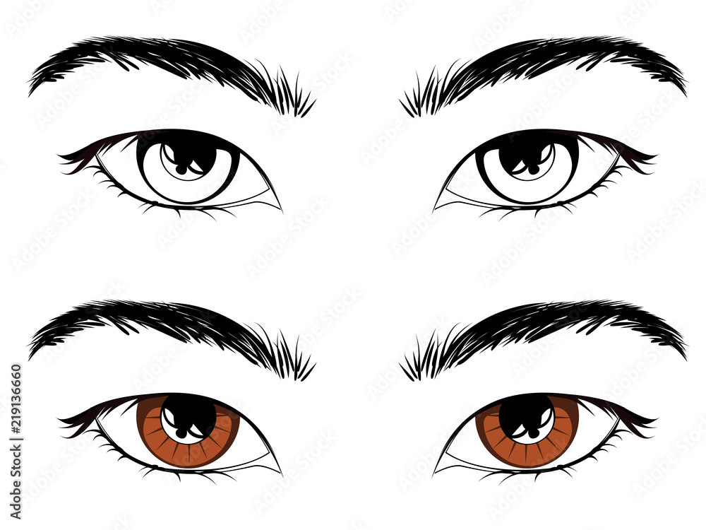 Male Eyebrow Vector