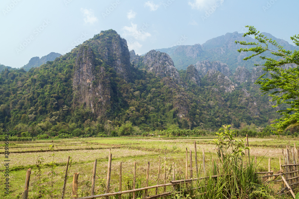 Beautiful view of a field and karst limestone mountains near Vang Vieng ...