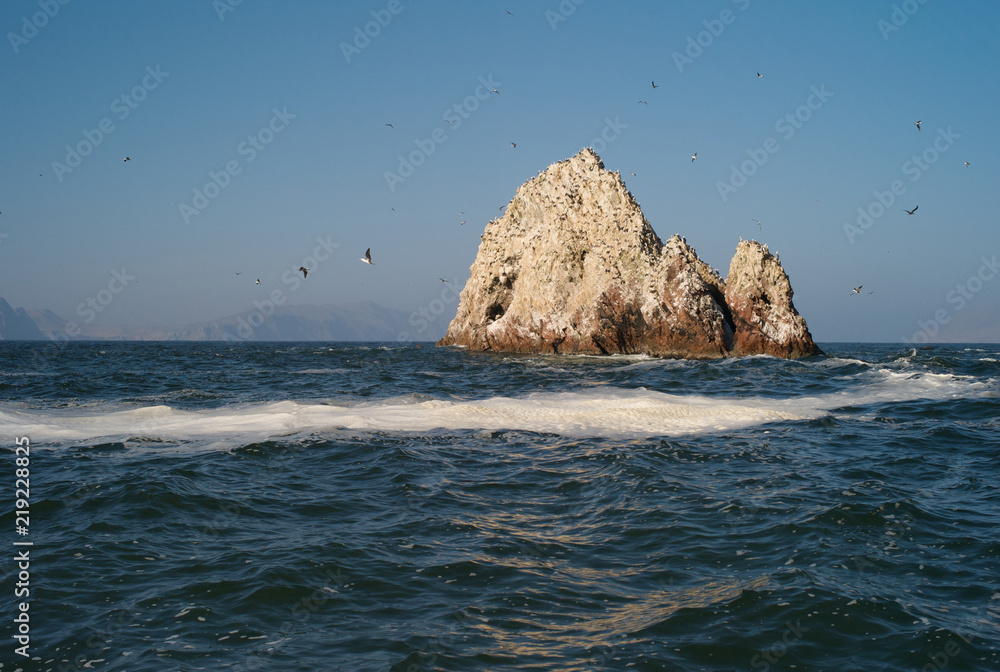 Guano Island - Islas Ballestas, in the Pacific Ocean, Paracas District ...