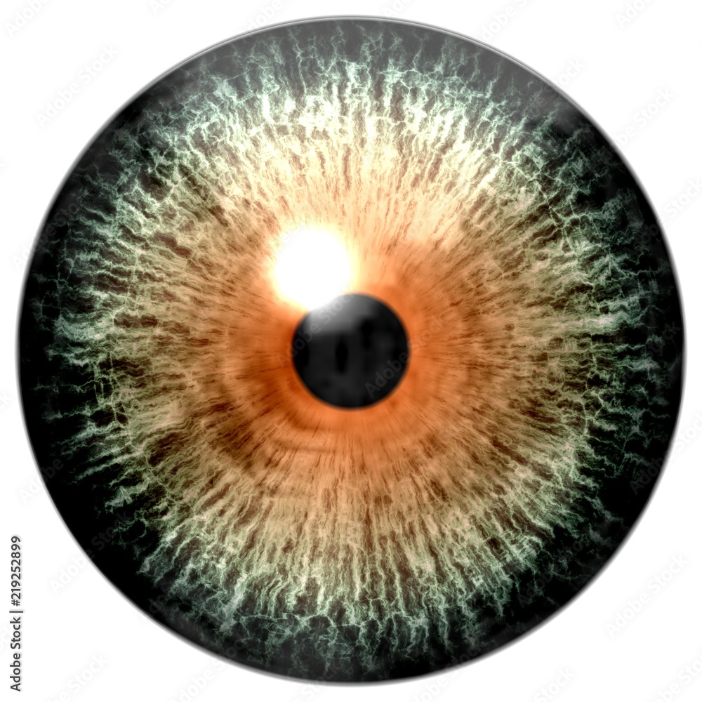 Animal Eye Texture