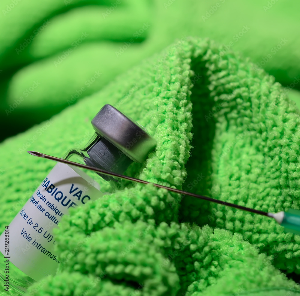 Voyageurs, attention à la maladie de la rage ! Stock Photo | Adobe Stock