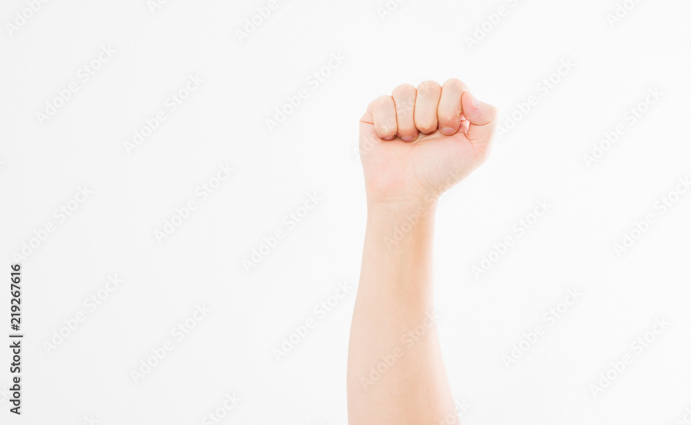Fist Template