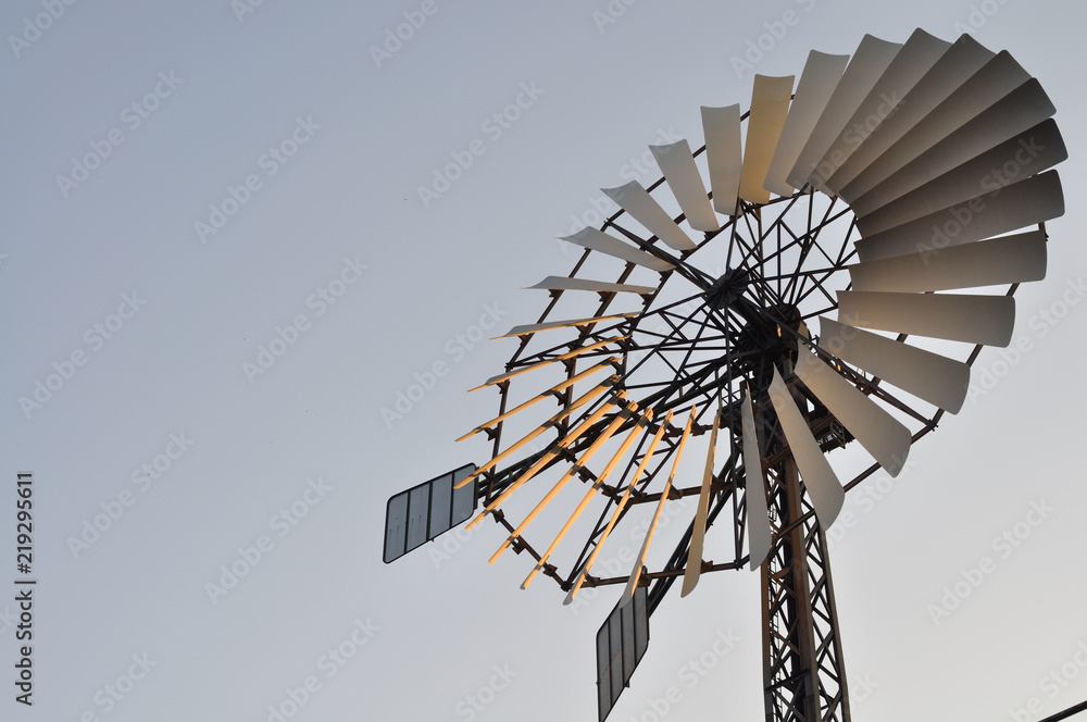 Pin Wheel // Windrad Stock Photo | Adobe Stock