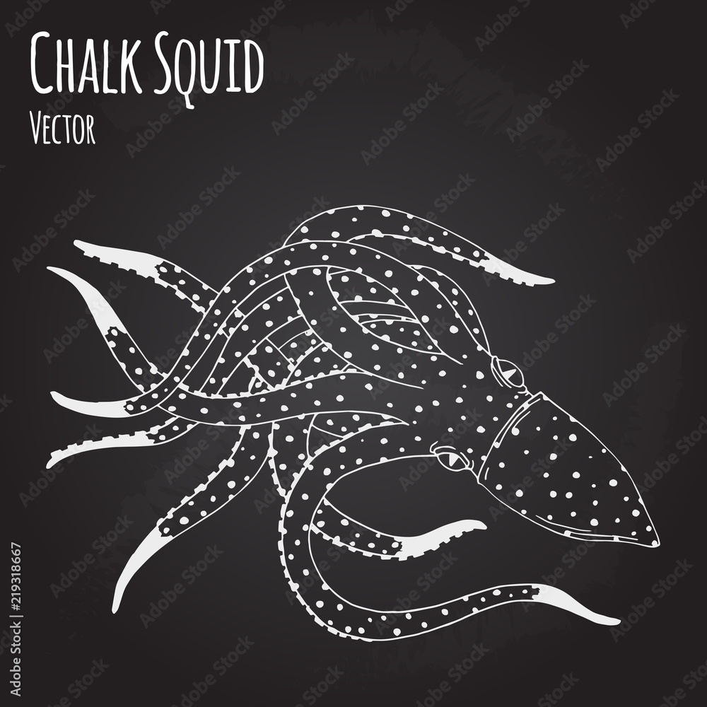 Squid Drawing Outline