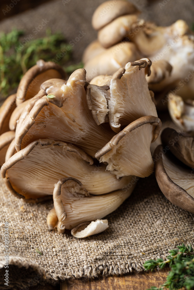 rustic wood,rustic background,rustic,oyster,mushroom,mushrooms ...