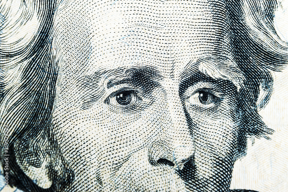 Close up view Portrait of Andrew Jackson on the one twenty dollar bill ...