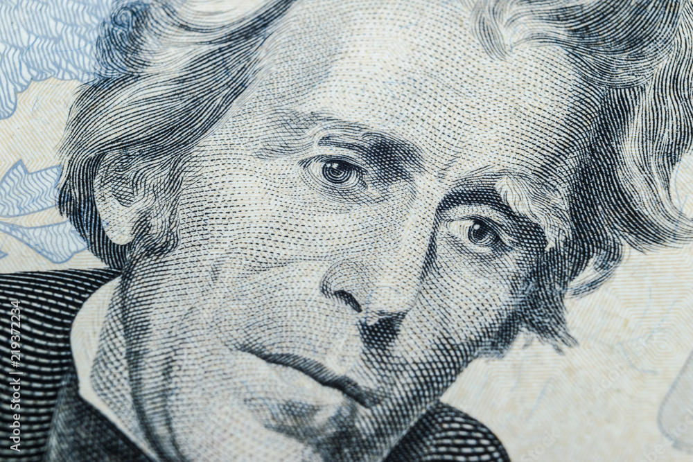 Close up view Portrait of Andrew Jackson on the one twenty dollar bill ...