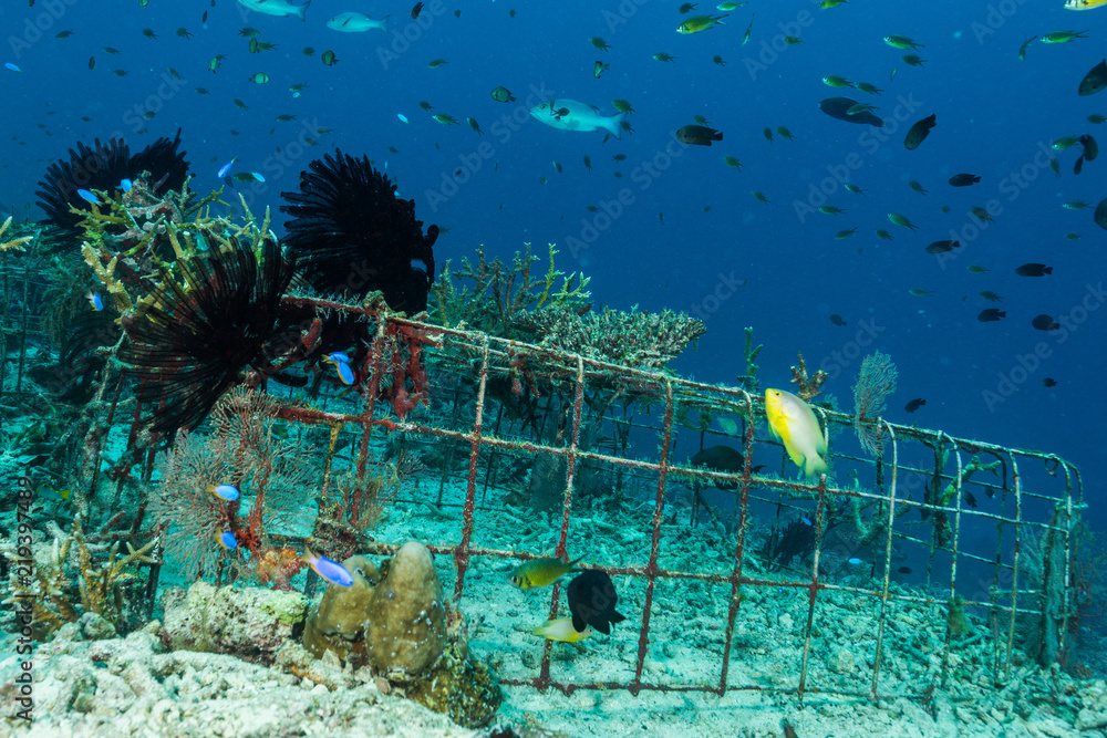 man-made artificial reef with metal struture and concrete to help ...