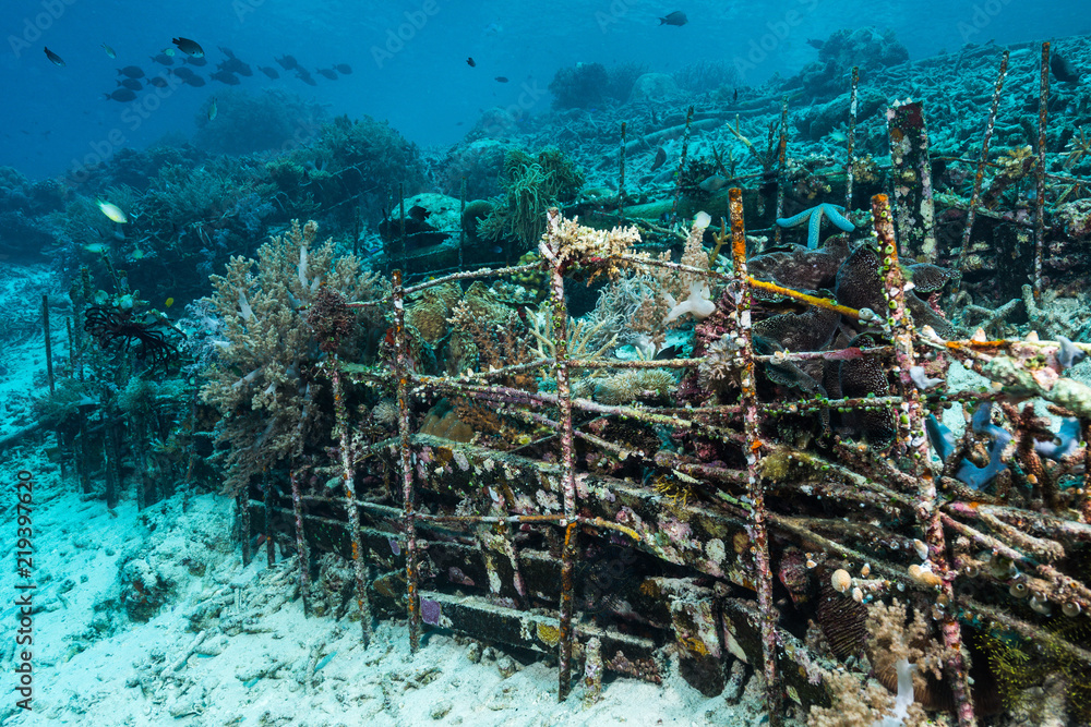 man-made artificial reef with metal struture and concrete to help ...