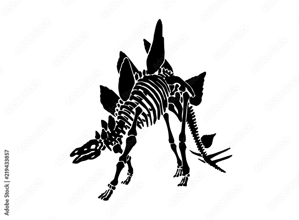 Graphical skeleton of stegosaurus isolated on white background,vector ...