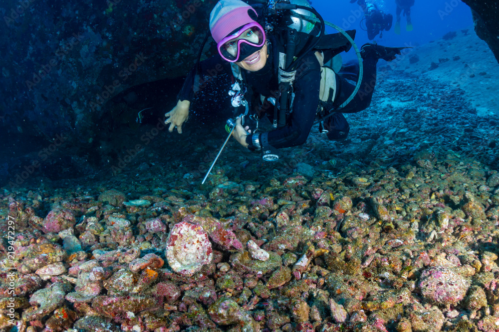 A SCUBA diver exiting an underwater tunnel on a deep, tropical coral ...