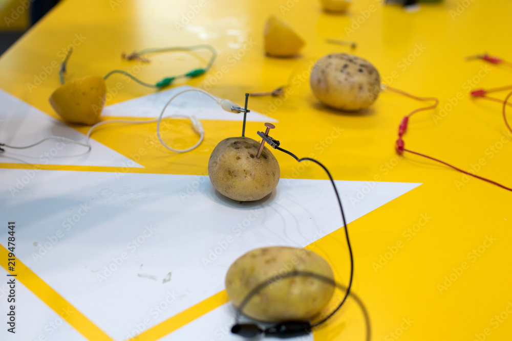 Potato battery STEM activity with potatoes, lemons, alligator clips ...