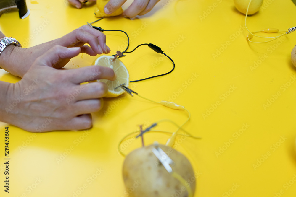 Potato battery STEM activity with potatoes, lemons, alligator clips ...
