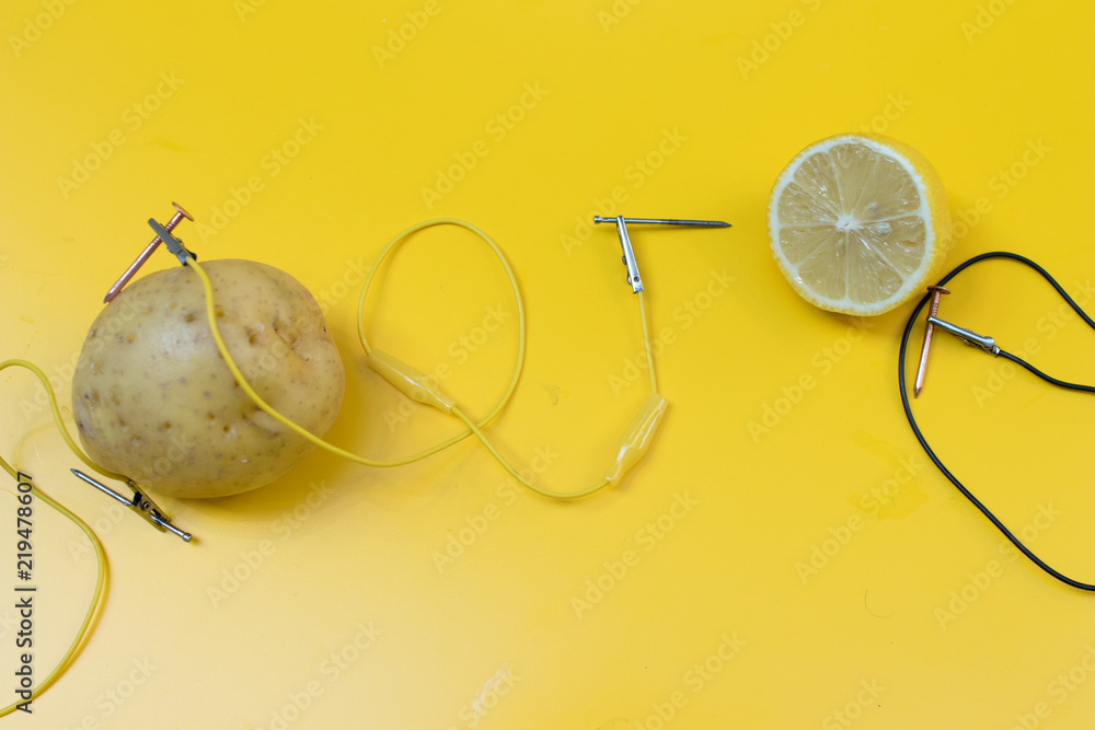 Potato battery STEM activity with potatoes, lemons, alligator clips ...