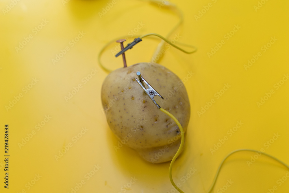 Potato battery STEM activity with potatoes, lemons, alligator clips ...