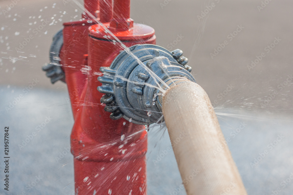 Damaged fire hose from a fire hydrant - water spray Stock Photo | Adobe ...
