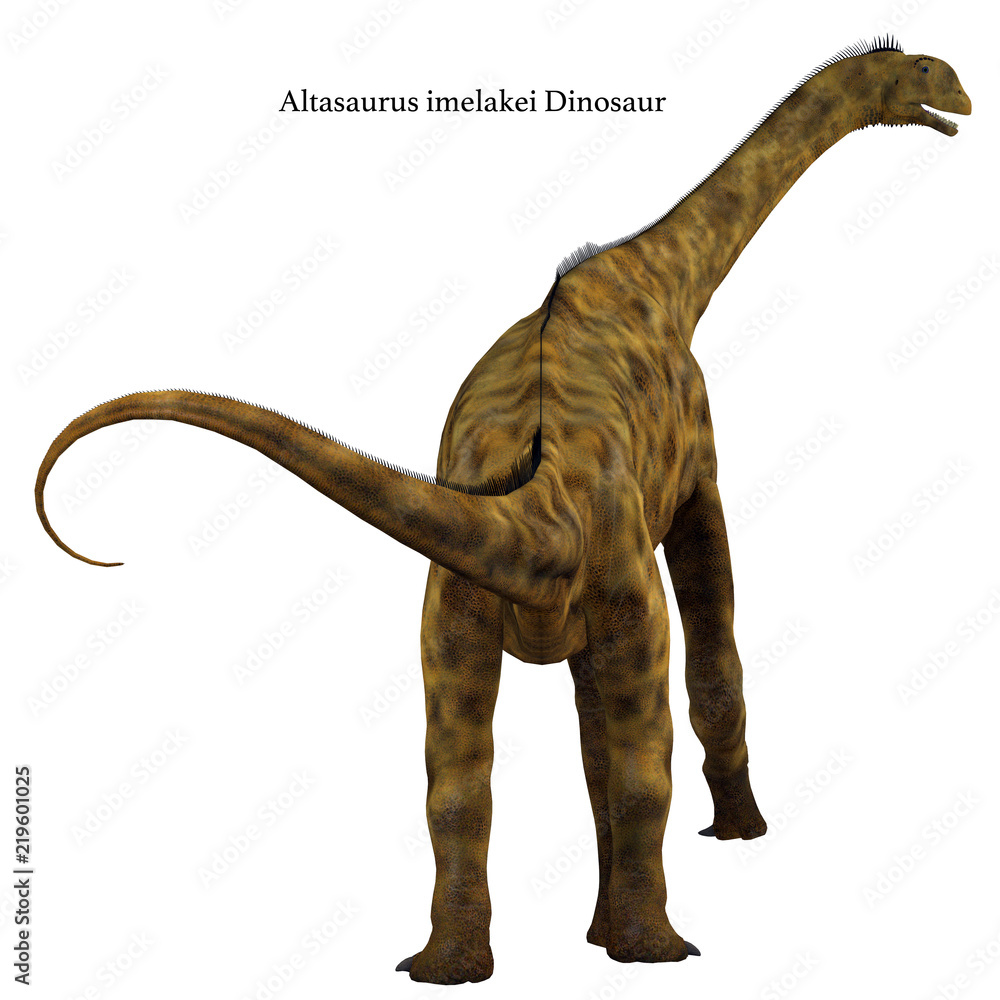 Atlasaurus Dinosaur Tail - Atlasaurus was a herbivorous sauropod ...