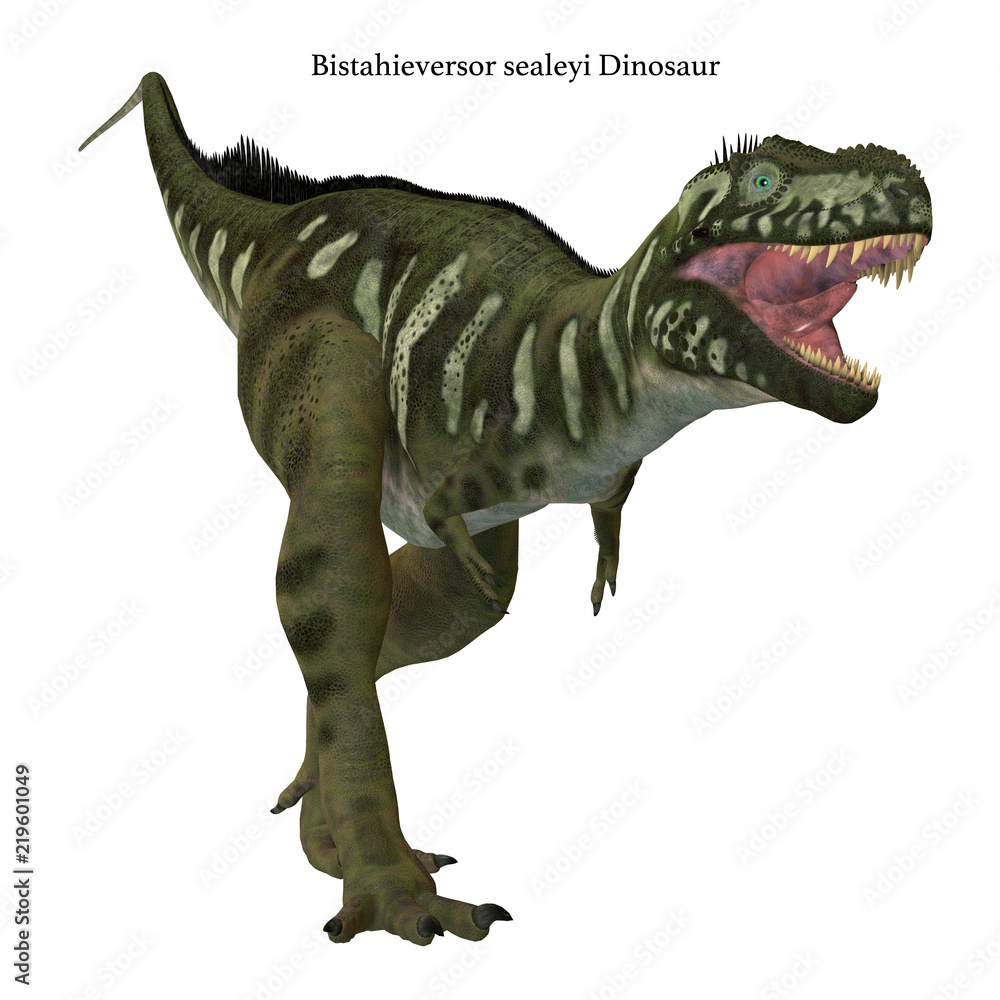Bistahieversor Dinosaur on White - Bistahieversor was a carnivorous ...