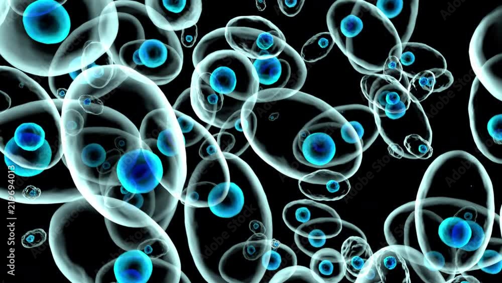 3D rendered Animation of moving living cells under the microscope ...