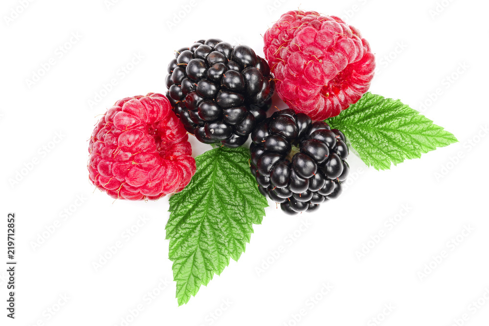blackberry and raspberry with leaves isolated on white background. Top ...